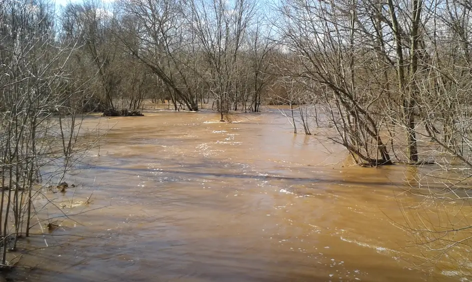 Environmental Issues Archives - Tommorow Documentary